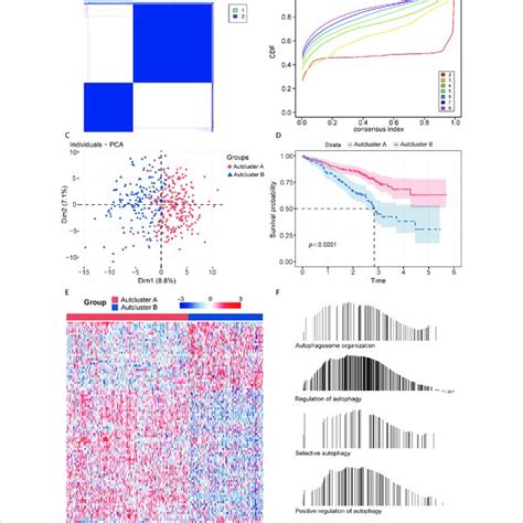 A Consensus Clustering Matrix Heatmap With Autophagy Related Download Scientific Diagram