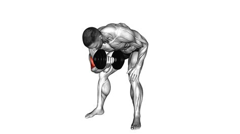 Dumbbell Standing Concentration Curl Video Exercise Guide And Tips Workout Guru