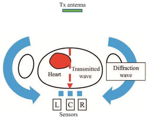 Sensors Free Full Text Non Contact Heart Rate Measurement Method