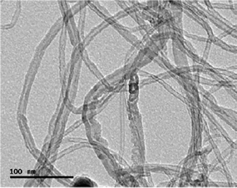 Sem Image Of Mwcnts Reprinted With Permission From Ref 84 Copyright Download Scientific