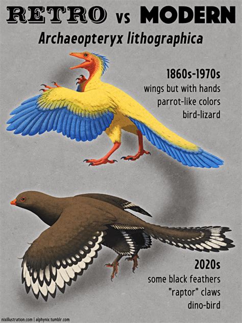 Archaeopteryx Bird Alcmonavis Poeschli Archaeopteryx Gets Company