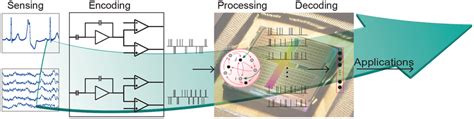Memristive Devices For Neuromorphic Computing A Interface Type