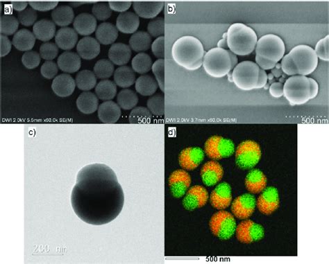 A Sem Image Of Cross Linked Polystyrene Particles Radius 141 Nm