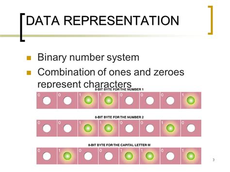 Basic Database Terminology And Concept Ppt Download