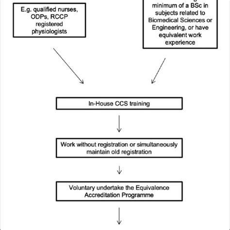 Flow Diagram Detailing The STP Structure STP Scientist Training Download Scientific Diagram