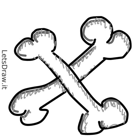 How To Draw Bone Inzafp Rj Png LetsDrawIt