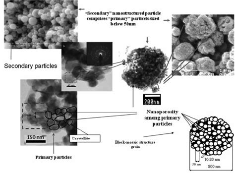 Summary Of The Particle Morphology Hierarchy Download Scientific Diagram