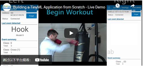 Tinyml应用开发实战 Bimant