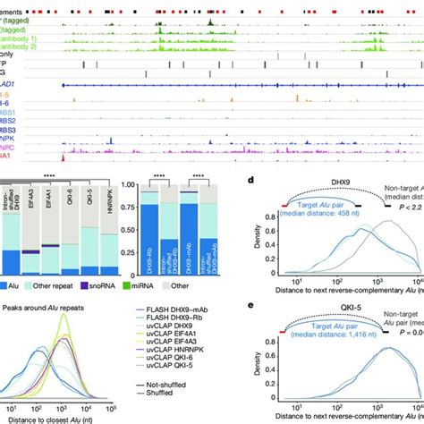 Rna Independent Interaction Of Adar P150 With Dhx9 Is Conserved Download Scientific Diagram