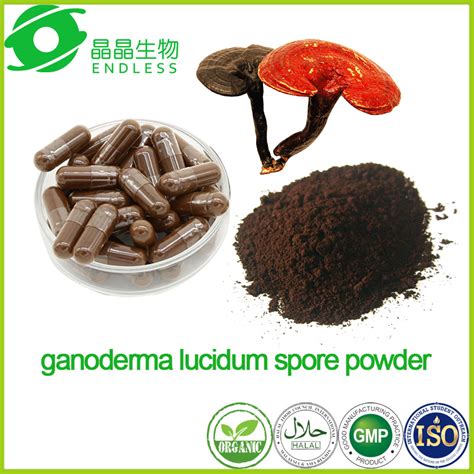 Traditional Chinese Medicine Ganoderma Lucidum Polysaccharide China Ganoderma Lucidum