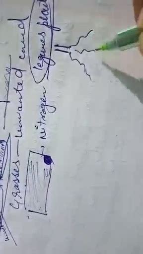 Match The Columns Match The Terms Given In Column A With Those In Colu