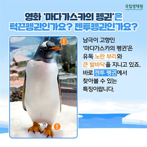 국립생태원 4월 25일은 바로 ‘세계 펭귄의 날 🐧 세계 펭귄의 날은 지구온난화와 서식지