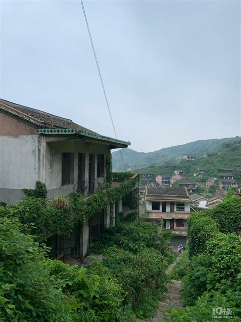 舟山群岛之旅 枸杞岛上的无人村 台州旅游 台州19楼