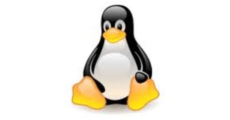【linux】mount Wrong Fs Type Bad Option Bad Superblock On Devsdb