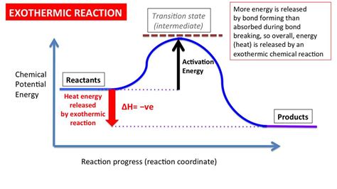Energy Diagram For Exothermic Reaction