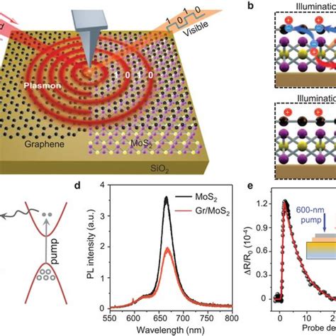 Graphene Plasmon Free‐space Modulator A A Schematic Of Ftir Download Scientific Diagram