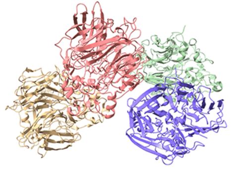 Ucsf Chimerax Tutorials