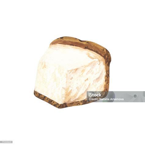 수채화 디저트 치즈 케이크 한 조각 손으로 그린 그림은 흰색 배경에 분리되어 있습니다 완벽한 음식 메뉴 음식 그림 디자인 포장 인쇄 거품 내기에 대한 스톡 벡터 아트 및