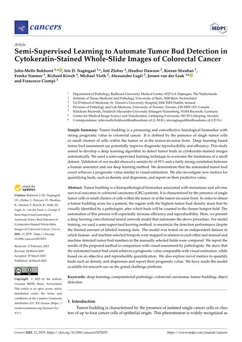 Pdf Semi Supervised Learning To Automate Tumor Bud Detection In Cytokeratin Stained Whole