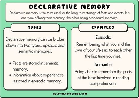 10 Declarative Memory Examples 2025