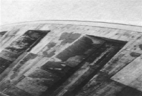 Types Of Surface Defects Occurs In Concrete At Construction Project