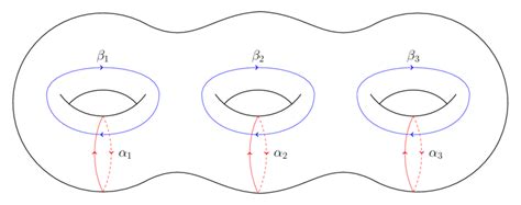 1 Canonical Homology Basis Of A Compact Riemann Surface Of Genus 3 Download Scientific Diagram