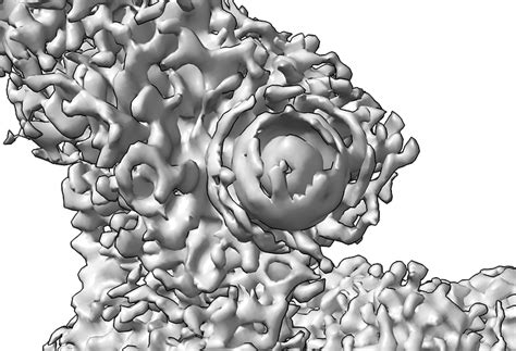 Strange Map Features Troubleshooting Cryosparc Discuss