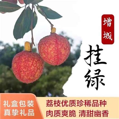 荔枝品种区分方法 惠农网