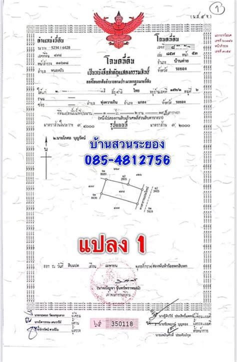 ขายที่ดิน ติดถนน 1 ไร่ 2 งาน 19 ตรวา วิวสวย ชุมชน ที่ดินร้อยแปด คอม