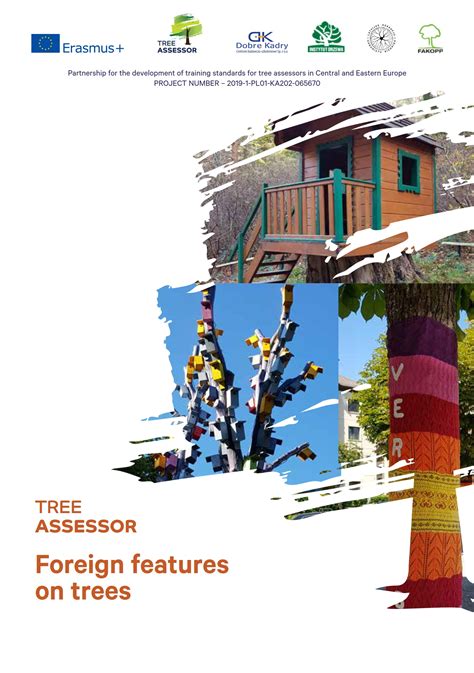 Assessment Of Trees Advanced Level Instrumental And Specialist Diagnostics Tree Assessor