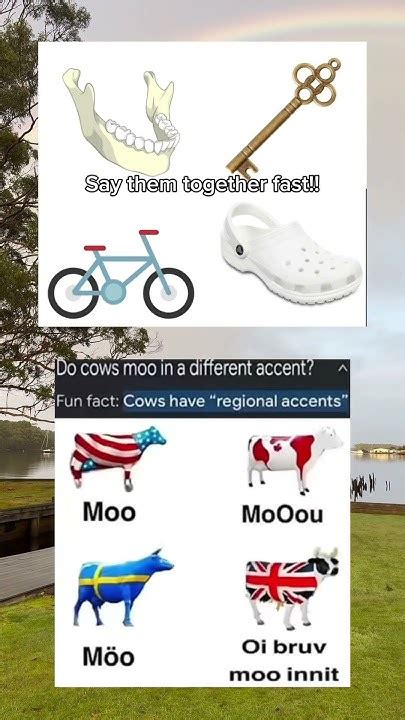 Moo Innit Bruv 😂 Youtube