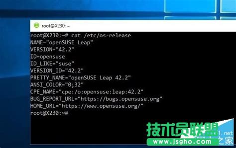 Win10中怎么安装suse Linux子系统
