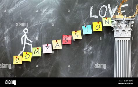 Compassion Leads To Love A Metaphor Showing How Compassion Makes The