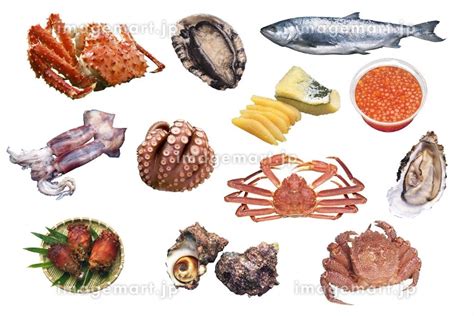 魚介類の写真素材 24467725 イメージマート