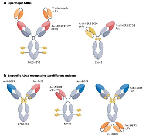 下一代adc开发趋势 知乎