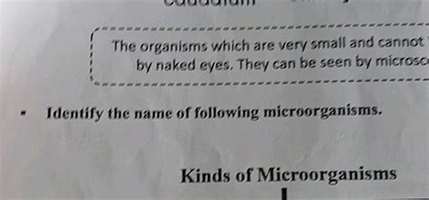 The Organisms Which Are Very Small And Cannot StudyX