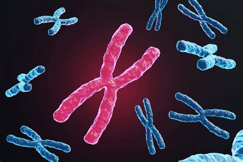 Everything You Need To Know About Fragile X Syndrome