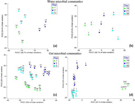 Principal Coordinate Analysis Pcoa Of Microbial Communities In The Download Scientific