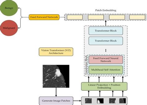 Overview Of The Proposed Vision Transformer Architecture Download Scientific Diagram