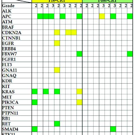 Gene Mutation Status Was Examined In Specimens From Patients With Download Scientific Diagram