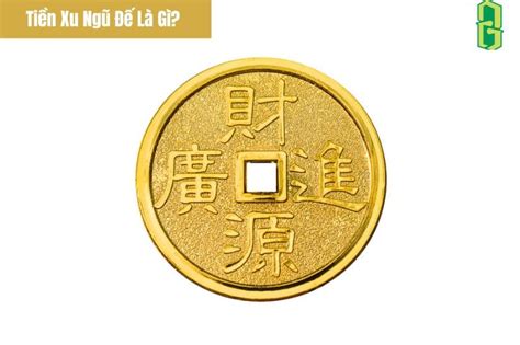 Ng Xu Ng L G Ngh A V C Ch S D Ng