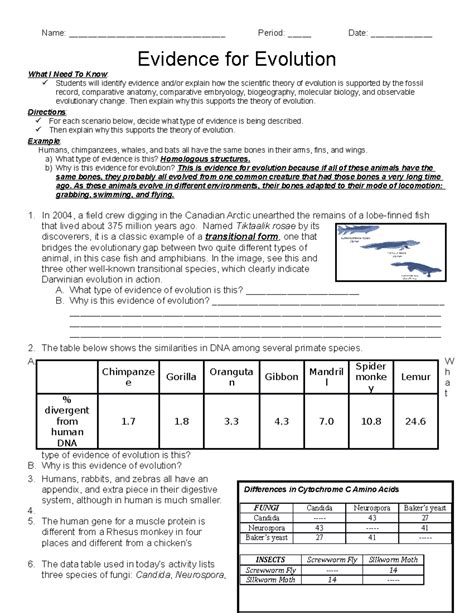 Evidence For Evolution Activity Worksheet Name