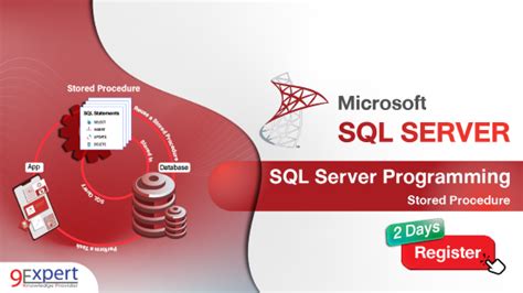 Sql Server Programming Stored Procedure 9expert