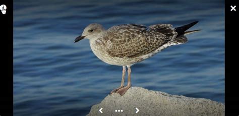 Jquery图片切换js图片切换特效 It书包