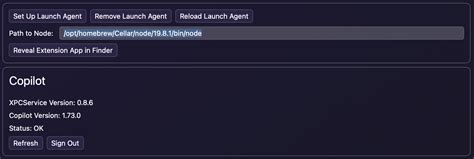 unavailable node js installed with nodenv anyenv · issue 63 · intitni