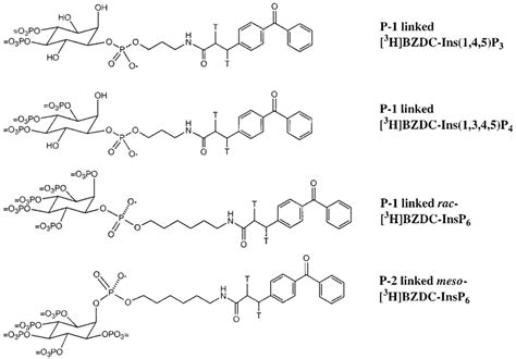 Structures Of Inositol Polyphosphate Photoaffinity Probes Download