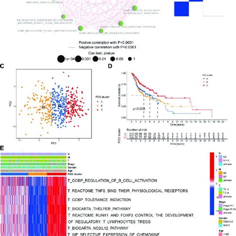 identification of pgs clusters and functional analysis using hnsc download scientific diagram