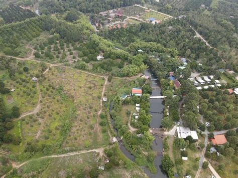 ที่ดินสวนทุเรียน ติดน้ำตกทุ่งเพล อ มะขาม จ จันทบุรี 10 ไร่ ขายราคา 22 ล้านบาท สนใจติดต่อ 085