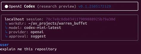 如何本地安装和使用openai的codex Cli？