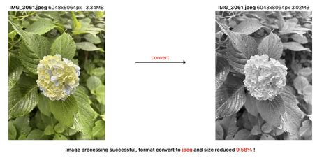 Five Benefits Of Converting Color Images To Grayscale Images